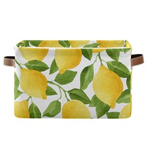 huxino storage basket cube, watercolor lemon tree leaves large storage bin box collapsible clothes toys organizer laundry basket for shelves closet kids nursery bedroom, 2 pack