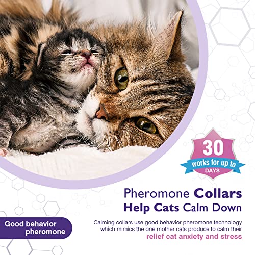 3 Pack Calming Collar for Cats and Kittens Pheromone Collar Efficient Relieve Reduce Anxiety Stress Pheromones Calm Relaxing Comfortable Breakaway Collars Adjustable for Small, Medium Large Cat