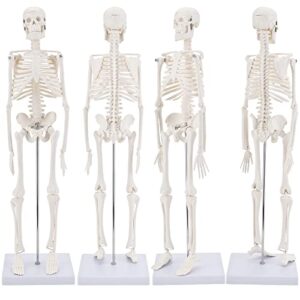 MIIRR Human Skeleton Anatomical Model, 17.7'' Mini Size Medical Skeleton Model with Movable Arms and Legs, Easy to Carry and Display for Anyone Study and Teaching