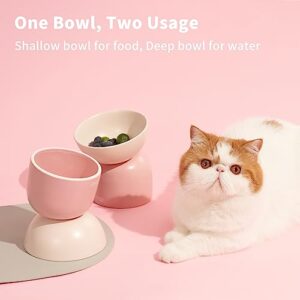 MS!MAKE SURE Cat Bowl, Elevated/Raised Ceramic Cat Food Bowl, Protects Spine, Relieves Whisker Fatigue, Superb Anti-Bacterial, Perfect for Indoor Cats (Green)