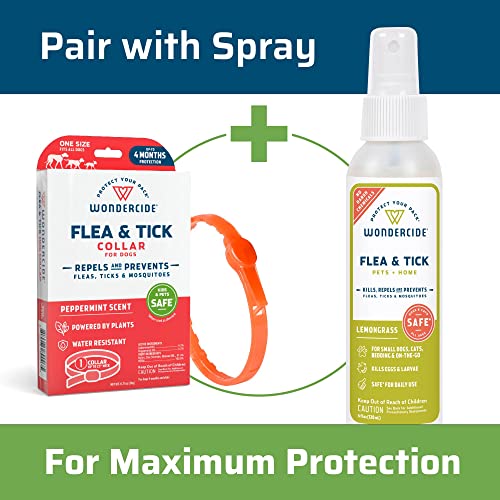 Wondercide - Flea and Tick Cat Collar - Flea, Tick, and Mosquito Repellent, Prevention for Cats - with Natural Essential Oils - Pet and Family Safe - Up to 4 Months Protection