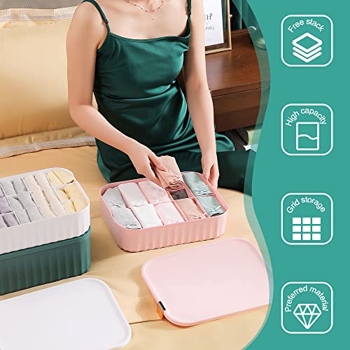 Withtoday Socks underwear drawer organizer, 10Cells or 15Cells underwear organizer Boxes for Socks, underwear organizer for drawer(10grid, PINK)