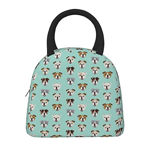 Aeoiba English Bulldog Dog Face Mint Green Insulated Lunch Bag Tote Handbag lunchbox Food Container Gourmet Tote Cooler warm Pouch for Beach School work Office