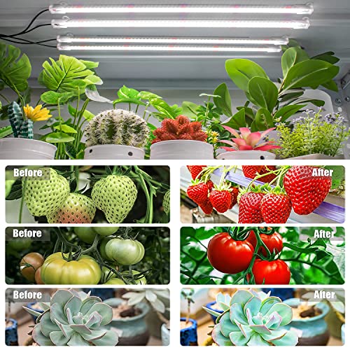 Wiaxulay LED Plant Grow Light Strips, 36W 240LEDs Full Spectrum Grow Lights for Indoor Plants, Grow Lamp with Auto On/Off 3/9/12H Timer 10 Dimmable Levels and 3 Switch Modes for Seedling