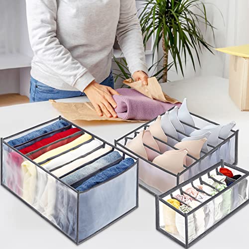 Wardrobe Clothes Organizer for Folded Clothes, Upgrade Mesh Clothes Storage Organizer, Storage Containers for Clothes Jeans Skirts, T-Shirt Underwear Bra Sock Organizer (4pcs, 2 Large and 2 Small)