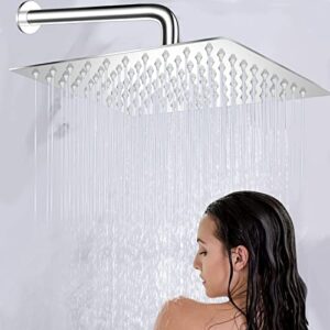 Welan Rain Shower Head, High Pressure Shower Head, 10 Inch Stainless Steel Square Showerhead, Adjustable Angles, Anti-Clogging Silicone Nozzle