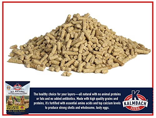 Kalmbach Feeds 17% All Natural Layer Pellet for Egg Laying Chickens, 10 lb Bag