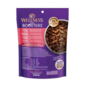 Wellness Tender Toppers (Previously CORE Bowl Boosters), Grain-Free Natural Dog Food Toppers or Mixers, Made with Real Meat (Lamb & Salmon, 8 oz Bag)