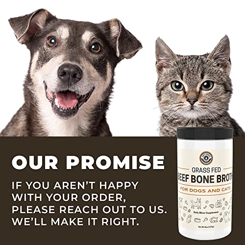 Left Coast Performance 8oz Beef Bone Broth Powder for Dogs and Cats – Premium Grass-Fed Beef Broth Topper for Picky Eaters –Supports Joints and Gut Health – Bone Broth for Cats