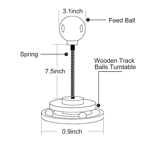 Marchul Cat Food Toy Interactive Cat Toys for Indoor Cats Double 2-Layer Circle Ball Track with Cat Sping Treat Ball Automatic Cat Toy Slow Feeder Treat Toy