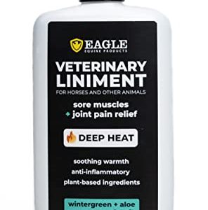 MagnaGard Veterinary Liniment Gel for Horses | Sore Muscle Rub | Soothing Warmth, Made with Plant-Based Ingredients | New & Improved Formula