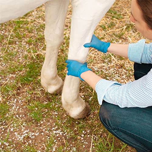 MagnaGard Veterinary Liniment Gel for Horses | Sore Muscle Rub | Soothing Warmth, Made with Plant-Based Ingredients | New & Improved Formula