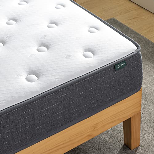 Zinus 8 Inch Comfort Essential Pocket Spring Hybrid Mattress/Pressure Relieving Support/CertiPUR-US Certified/Mattress-in-a-Box, Queen