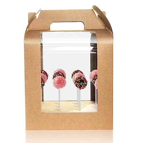 Vowcarol Portable Cake Pop Holder Boxes Cake Pop Display Stand with Cover Candy Apple Boxes with Hole Cake Pop- Packaging - 6 Packs