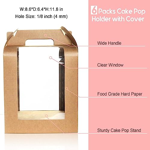 Vowcarol Portable Cake Pop Holder Boxes Cake Pop Display Stand with Cover Candy Apple Boxes with Hole Cake Pop- Packaging - 6 Packs