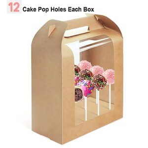 Vowcarol Portable Cake Pop Holder Boxes Cake Pop Display Stand with Cover Candy Apple Boxes with Hole Cake Pop- Packaging - 6 Packs