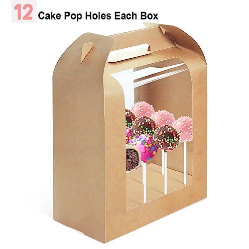 Vowcarol Portable Cake Pop Holder Boxes Cake Pop Display Stand with Cover Candy Apple Boxes with Hole Cake Pop- Packaging - 6 Packs