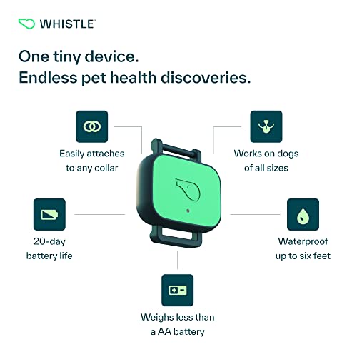 Whistle Health Smart Device | Dog Health and Fitness Tracker | Track Scratching, Licking, Drinking, Eating, Sleeping, and Activity, Green