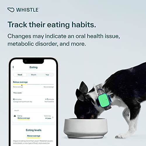 Whistle Health Smart Device | Dog Health and Fitness Tracker | Track Scratching, Licking, Drinking, Eating, Sleeping, and Activity, Green