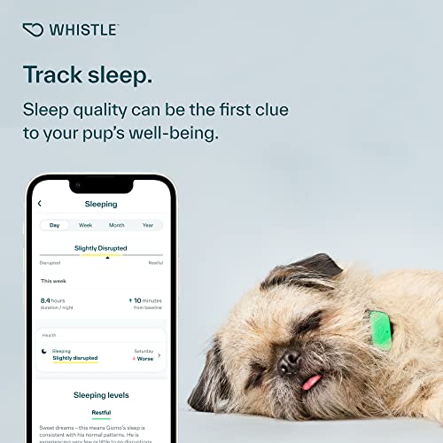 Whistle Health Smart Device | Dog Health and Fitness Tracker | Track Scratching, Licking, Drinking, Eating, Sleeping, and Activity, Green