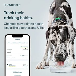 Whistle Health Smart Device | Dog Health and Fitness Tracker | Track Scratching, Licking, Drinking, Eating, Sleeping, and Activity, Green