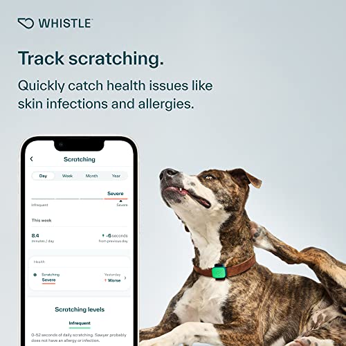 Whistle Health Smart Device | Dog Health and Fitness Tracker | Track Scratching, Licking, Drinking, Eating, Sleeping, and Activity, Green