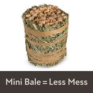 Kaytee Field+Forest Mini Hay Bale with Apple