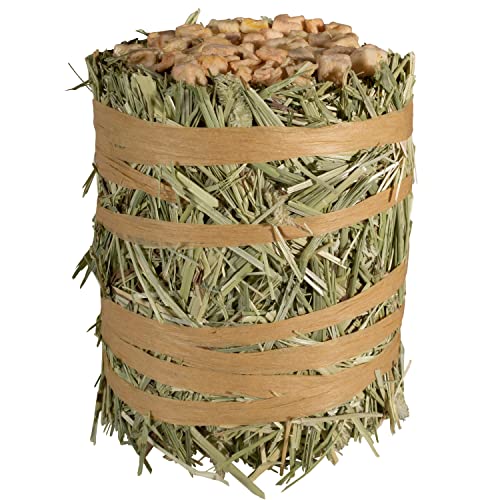 Kaytee Field+Forest Mini Hay Bale with Apple