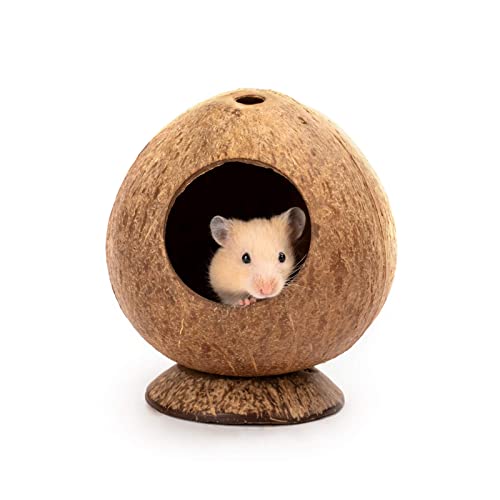 Ostein Natural Coconut Hut Hamster House Bedfor Gerbils Mice Small Animal Cage Habitat Decor,Pet Cave Small Animal Cage Habitat Decor Hanging Guinea Pig