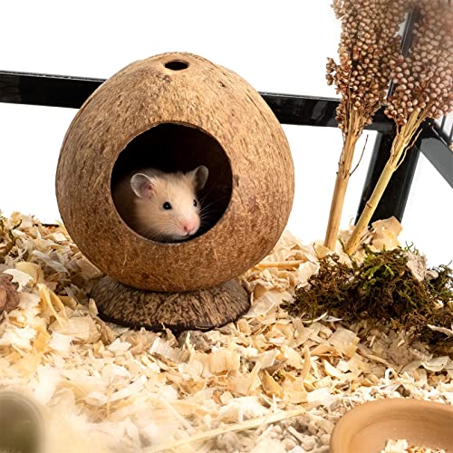 Ostein Natural Coconut Hut Hamster House Bedfor Gerbils Mice Small Animal Cage Habitat Decor,Pet Cave Small Animal Cage Habitat Decor Hanging Guinea Pig