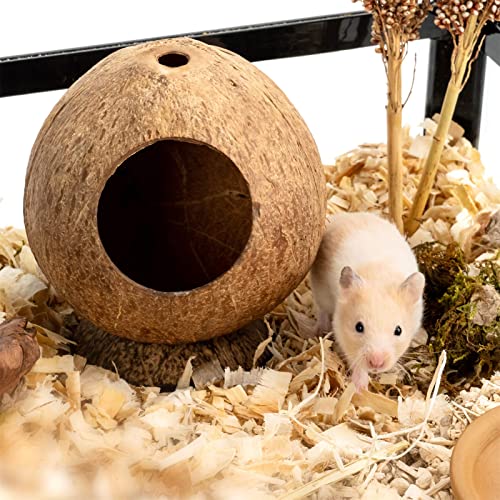 Ostein Natural Coconut Hut Hamster House Bedfor Gerbils Mice Small Animal Cage Habitat Decor,Pet Cave Small Animal Cage Habitat Decor Hanging Guinea Pig