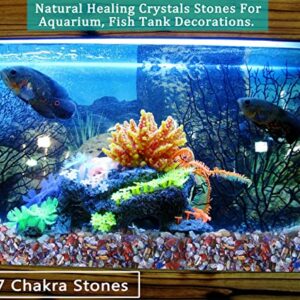 MAIBAOTA Natural 7 Chakra Crystal Quartz Rocks Chips Vase Filler Rocks for Succulent Plant Small Fish Tank Aquarium Gravel Decorative Pebbles Stones(200 gram)