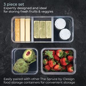 iDesign The Spruce 3-Piece Plastic Refrigerator Organizer Bin Set with Lids, Clear/Gray