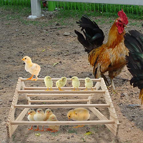 Wooden Chicken Perch for Chick, Funny Toys for Chick, Chick Stand Training Perch Toy, Perch Pole for Chicken Coops and Brooders, Wooden Chick Toys Perch for Chicken Coop Young Birds