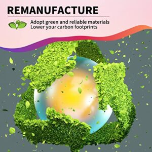 LES RAISINS 501H Remanufactured for Lexmark Toner Cartridge MS310 MS410 MS510dn MS312 MS312dn MS315dn MS610dn MS415dn 500HA 50F0HA0 Laser Printer 5,000 Pages 501H 50F1H00 500HA 50F0HA0 Toner Cartridge