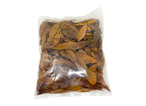 The Bio Dude Leaf Litter - Live Oak Litter - Great for bioactive terrariums, vivariums and Fish