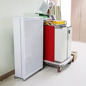 Smart Health Blast (HEPA + Carbon) Air Purifier (Blast with HEPA and Carbon (VOC) Filters)