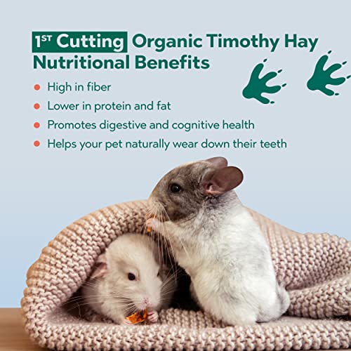 Andy Organic Timothy Hay Andy-Pak Feeder Box, 4 Pack 1.5 Lb Boxes, 1st Cutting Rabbit Food, Premium Hamster, Chinchilla, Gerbil, & Guinea Pig Food, Small Animal Treats, 6 lbs