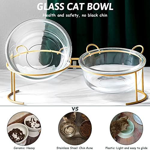 BNOSDM Elevated Cat Bowls, Glass Raised Pet Bowl, 12° Tilted Double Dishes Set for Food and Water, Transparent Kitty Feeding Station with Gold Iron Stand for Indoor and Outdoor Kitten