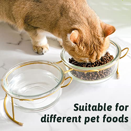 BNOSDM Elevated Cat Bowls, Glass Raised Pet Bowl, 12° Tilted Double Dishes Set for Food and Water, Transparent Kitty Feeding Station with Gold Iron Stand for Indoor and Outdoor Kitten