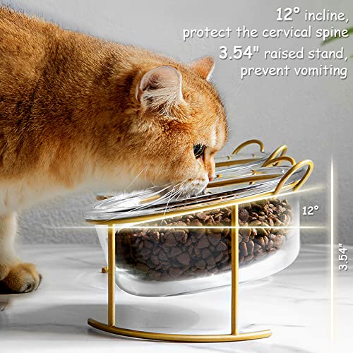 BNOSDM Elevated Cat Bowls, Glass Raised Pet Bowl, 12° Tilted Double Dishes Set for Food and Water, Transparent Kitty Feeding Station with Gold Iron Stand for Indoor and Outdoor Kitten