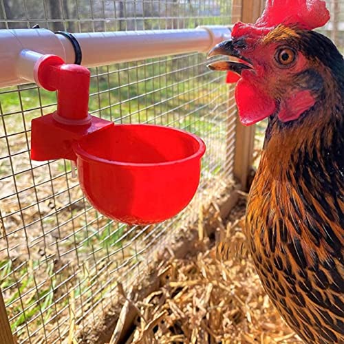 12 Pcs Chicken Waterer Cups Automatic Poultry Drinking Bowl Feeder, 1/8 Inch Thread Auto-Fill Drinking Bowl for Chicken Duck Turkey Bird Rabbit (Red)