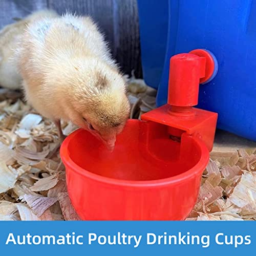 12 Pcs Chicken Waterer Cups Automatic Poultry Drinking Bowl Feeder, 1/8 Inch Thread Auto-Fill Drinking Bowl for Chicken Duck Turkey Bird Rabbit (Red)