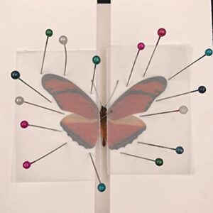 Mipcase Insect Pinning Board Butterfly Spreading Wings Board Insect Specimen Plates Specimen Display Board for Bugs Collection Supplies