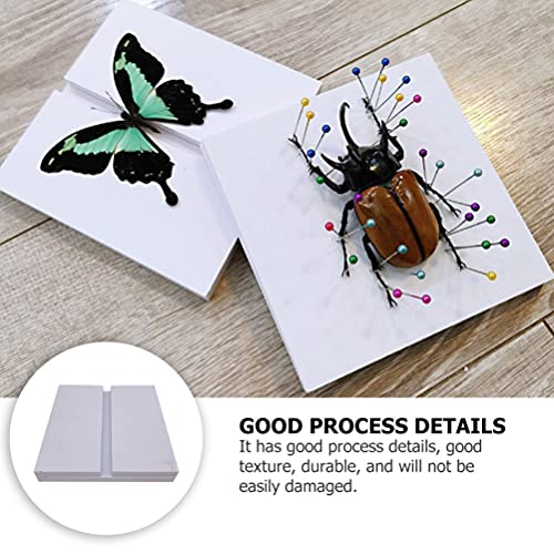 Mipcase Insect Pinning Board Butterfly Spreading Wings Board Insect Specimen Plates Specimen Display Board for Bugs Collection Supplies