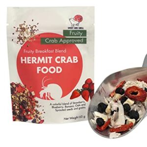 Snout and Shell Fruity Breakfast Blend Hermit Crab Dry Food - High Protein & Nutrient Blend Diet of Rolled Oats, Blueberries, Strawberry, Banana, Sprouted Seeds Mix - Aquatic Pet Snack Treat | 65g