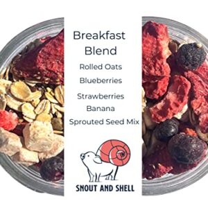 Snout and Shell Fruity Breakfast Blend Hermit Crab Dry Food - High Protein & Nutrient Blend Diet of Rolled Oats, Blueberries, Strawberry, Banana, Sprouted Seeds Mix - Aquatic Pet Snack Treat | 65g