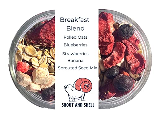 Snout and Shell Fruity Breakfast Blend Hermit Crab Dry Food - High Protein & Nutrient Blend Diet of Rolled Oats, Blueberries, Strawberry, Banana, Sprouted Seeds Mix - Aquatic Pet Snack Treat | 65g