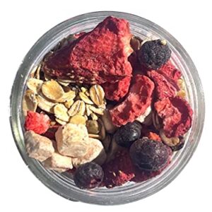 Snout and Shell Fruity Breakfast Blend Hermit Crab Dry Food - High Protein & Nutrient Blend Diet of Rolled Oats, Blueberries, Strawberry, Banana, Sprouted Seeds Mix - Aquatic Pet Snack Treat | 65g