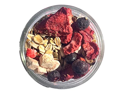 Snout and Shell Fruity Breakfast Blend Hermit Crab Dry Food - High Protein & Nutrient Blend Diet of Rolled Oats, Blueberries, Strawberry, Banana, Sprouted Seeds Mix - Aquatic Pet Snack Treat | 65g